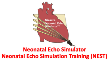 Neonatal Echocardiography Simulator - Neonatal Echo Simulator